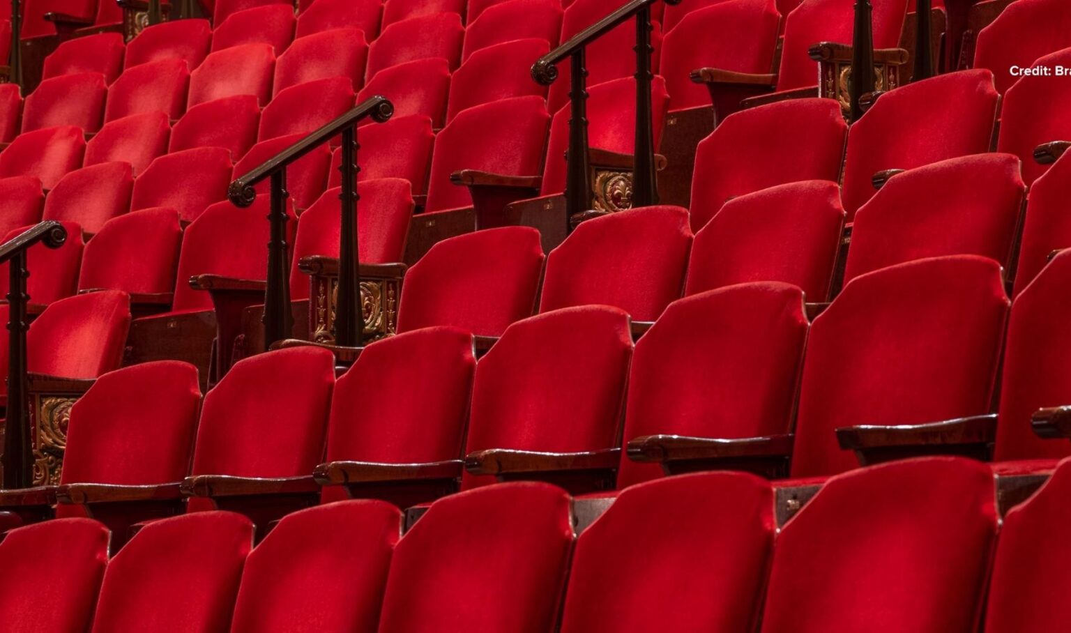 Accessibility Accommodations