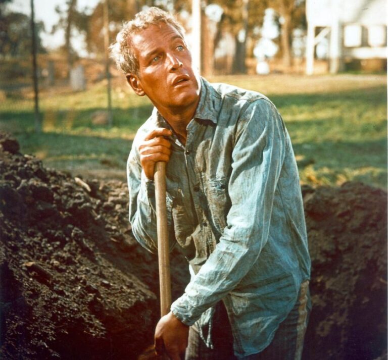 CAPA Summer Movie Series