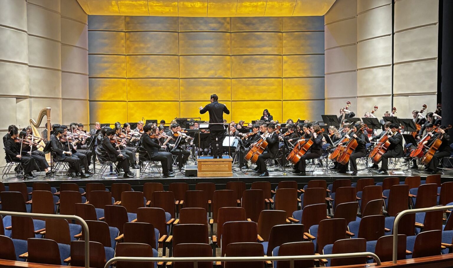 CSYO Youth Orchestra Concert